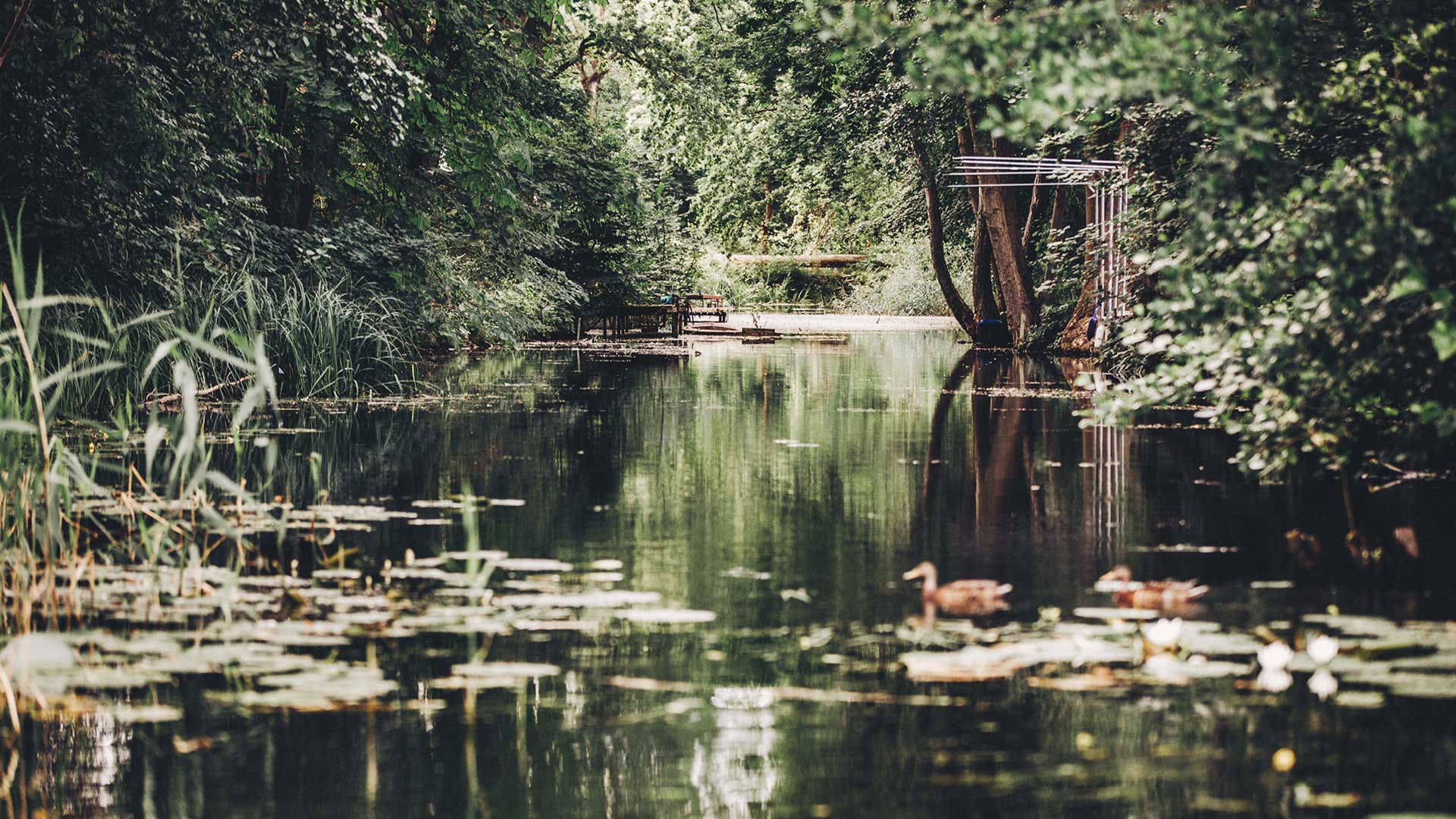 Alter Hafen – Home
